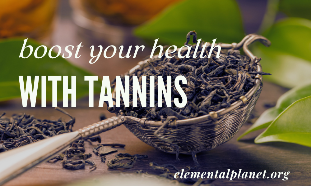The Role of Tannins in Herbal Medicine — Elemental Planet