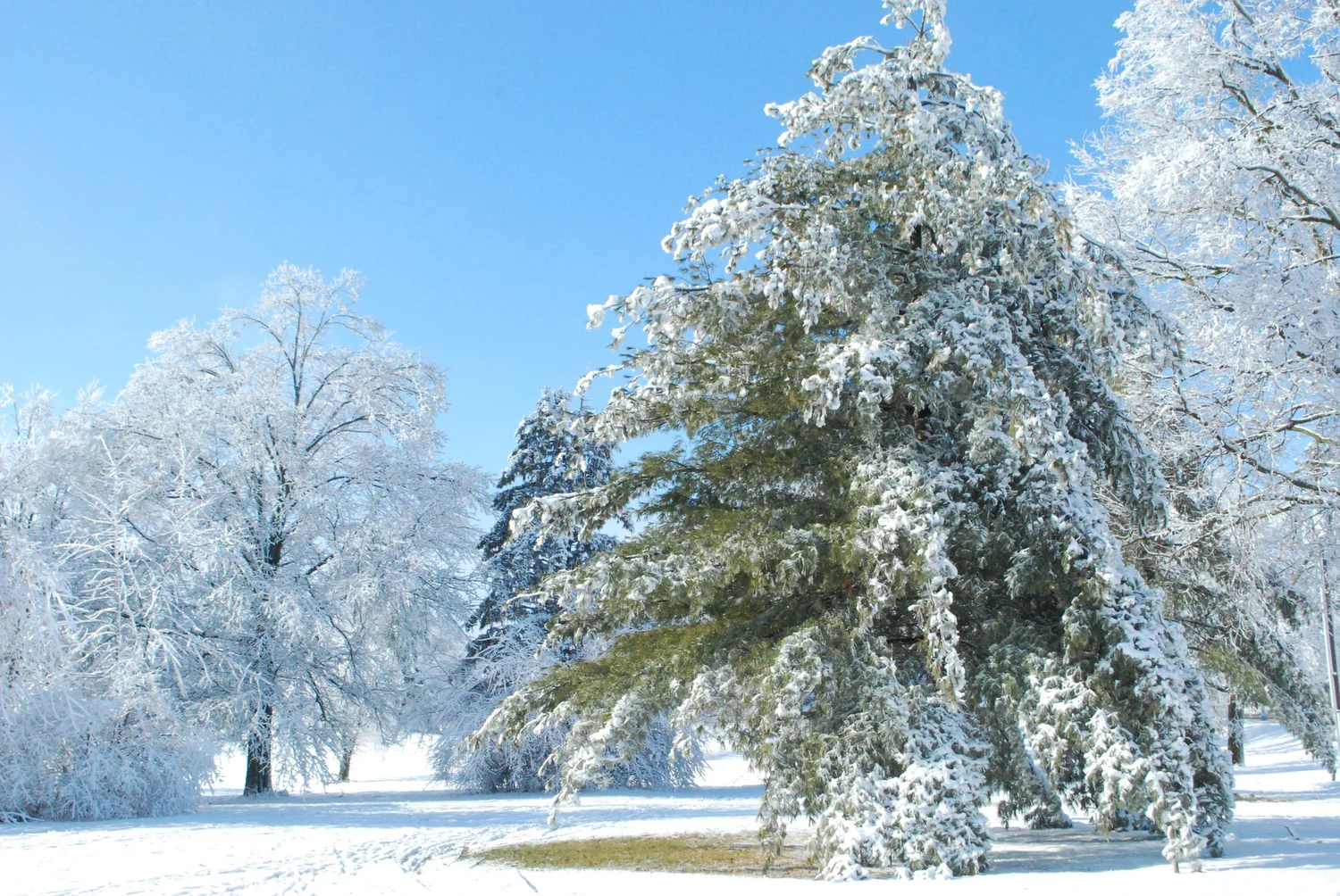 The Elemental Energy of the Seasons and How to Honor Each Season ...