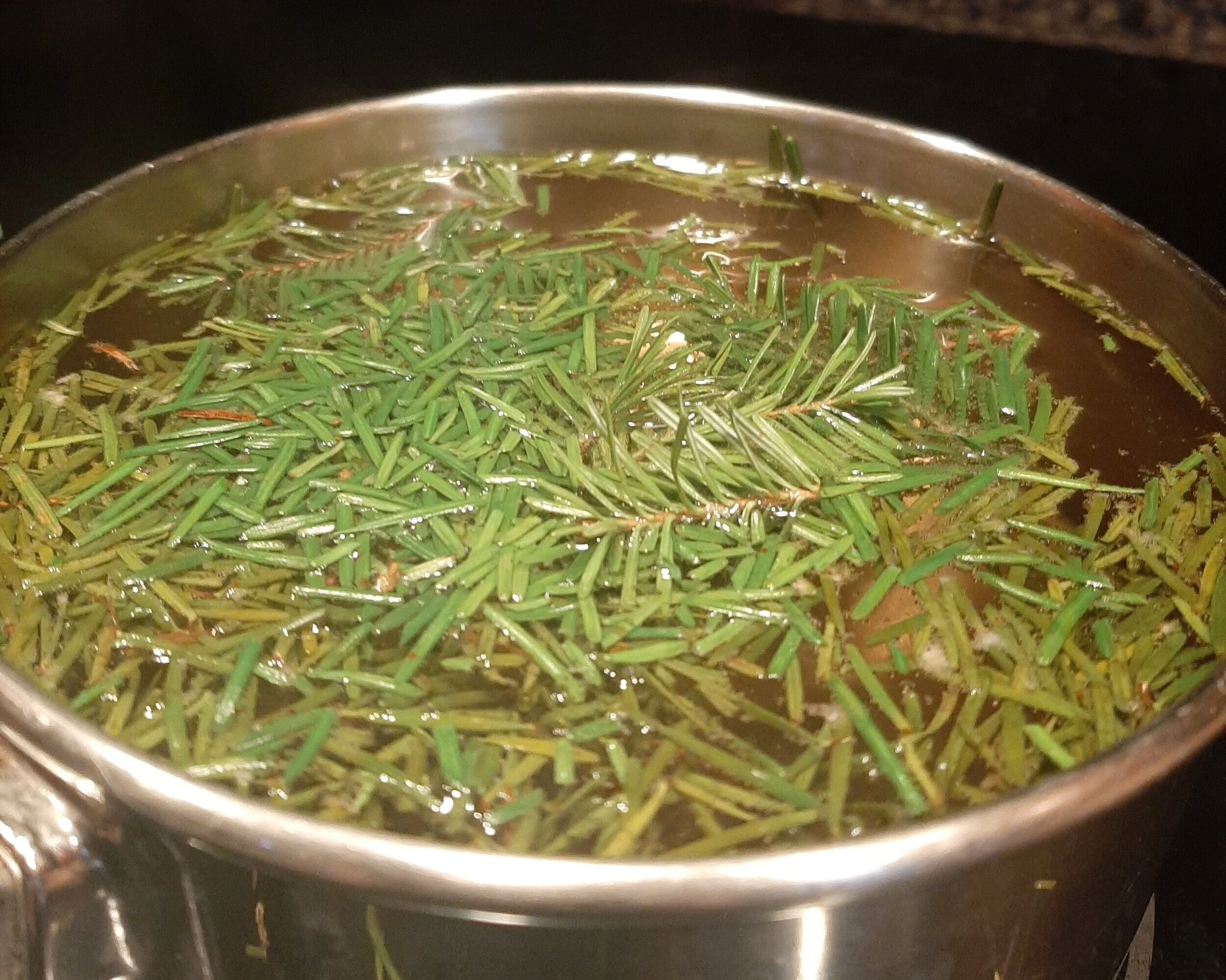 Conifer Needle Tea — Elemental Planet
