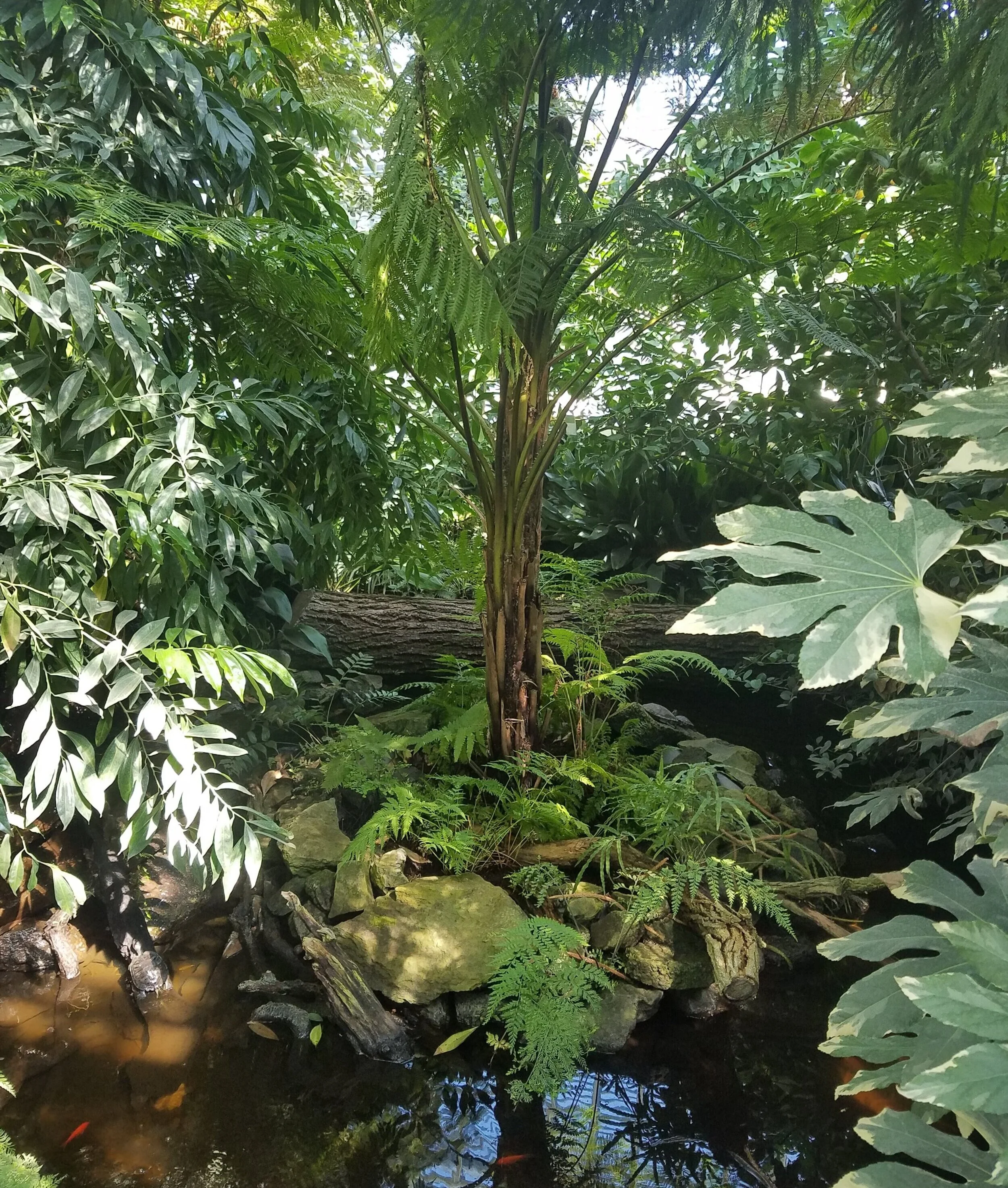 The Elements Manifest: A Dance of Energy — Elemental Planet