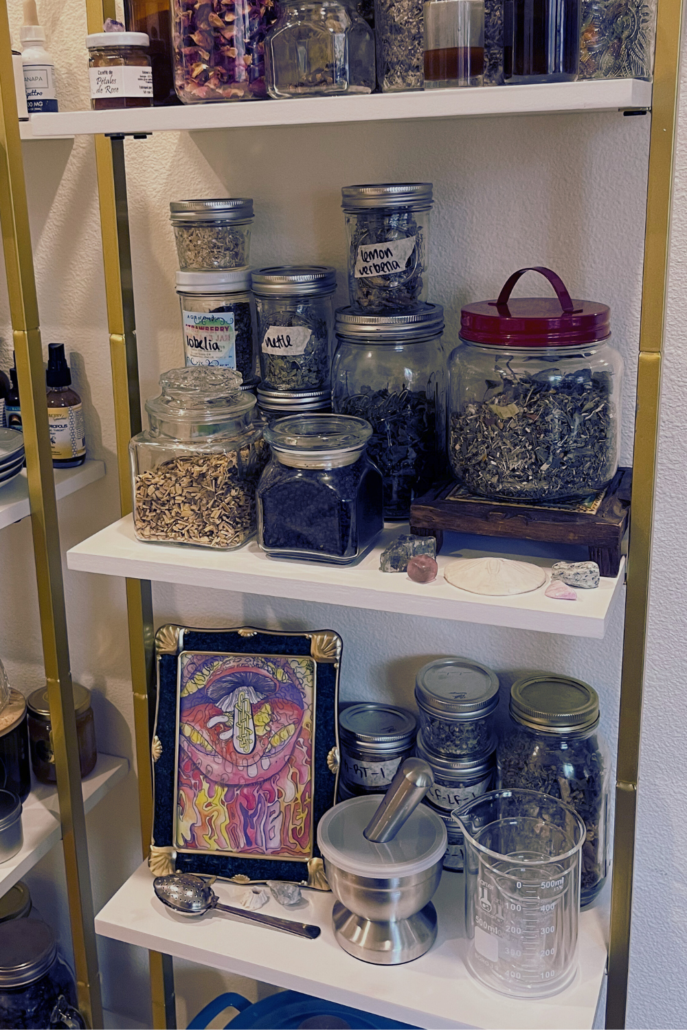 How to Create an Herbal Altar: Essential Tips for Crafting a Spiritual ...