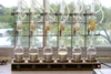 Understanding Menstruum: The Key to Effective Herbal Extractions ...
