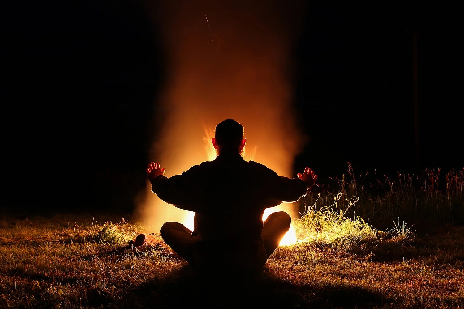 Elemental Energy in Plants: Air, Earth, Fire, and Water — Elemental Planet