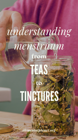 Understanding Menstruum: The Key to Effective Herbal Extractions ...