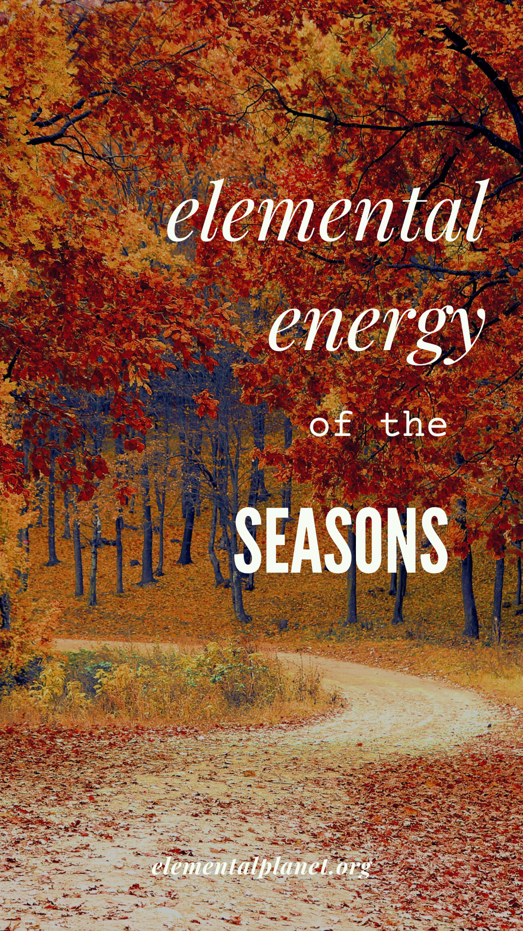 The Elemental Energy of the Seasons and How to Honor Each Season ...