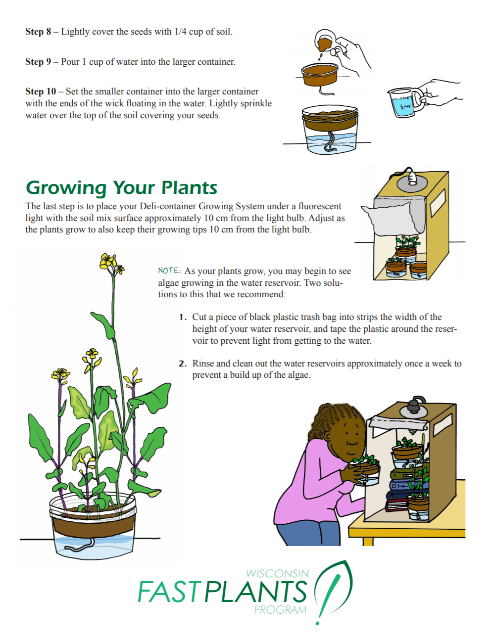 The wicking container method; Start pepper, eggplant & okra seeds in ...