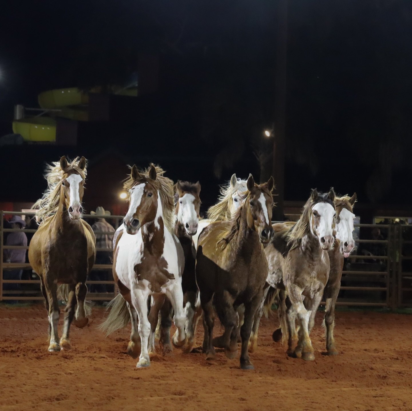 Double K Rodeo Productions | Experience Rodeo Action Today