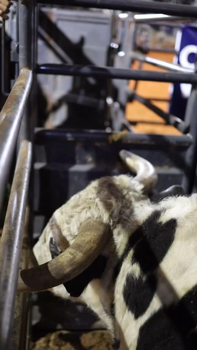 Double K Rodeo Productions | Experience Rodeo Action Today