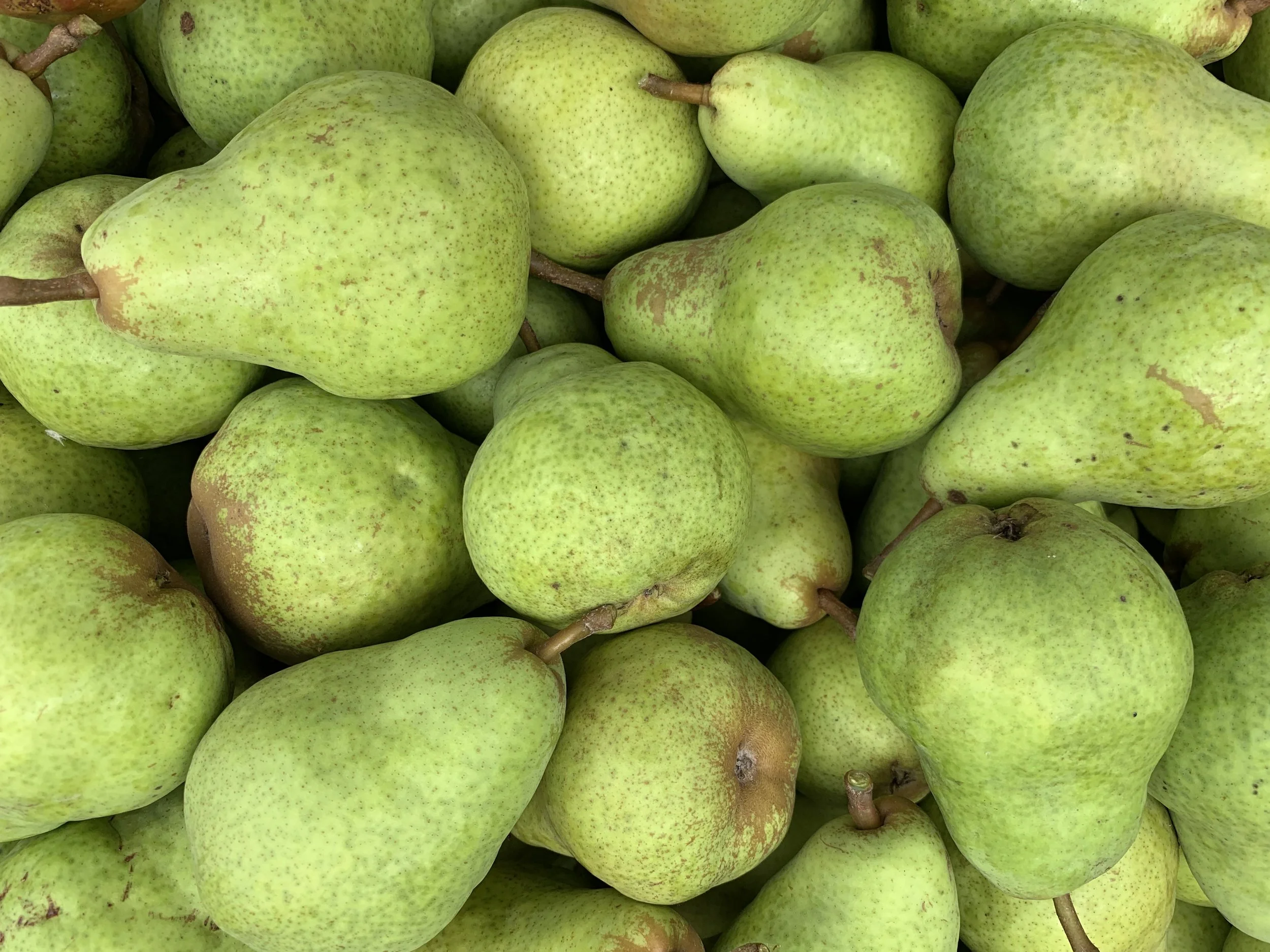 Store — Oracle Orchard