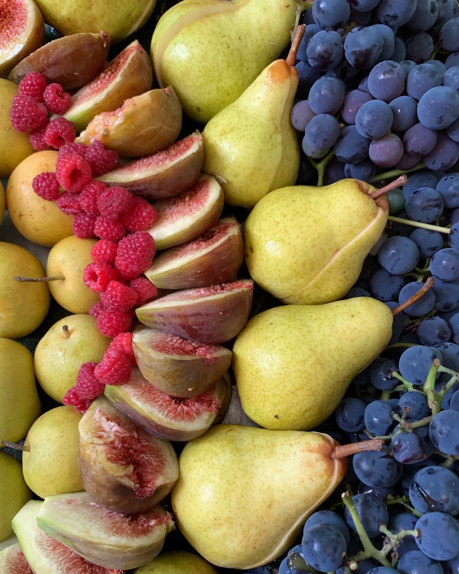 Store — Oracle Orchard