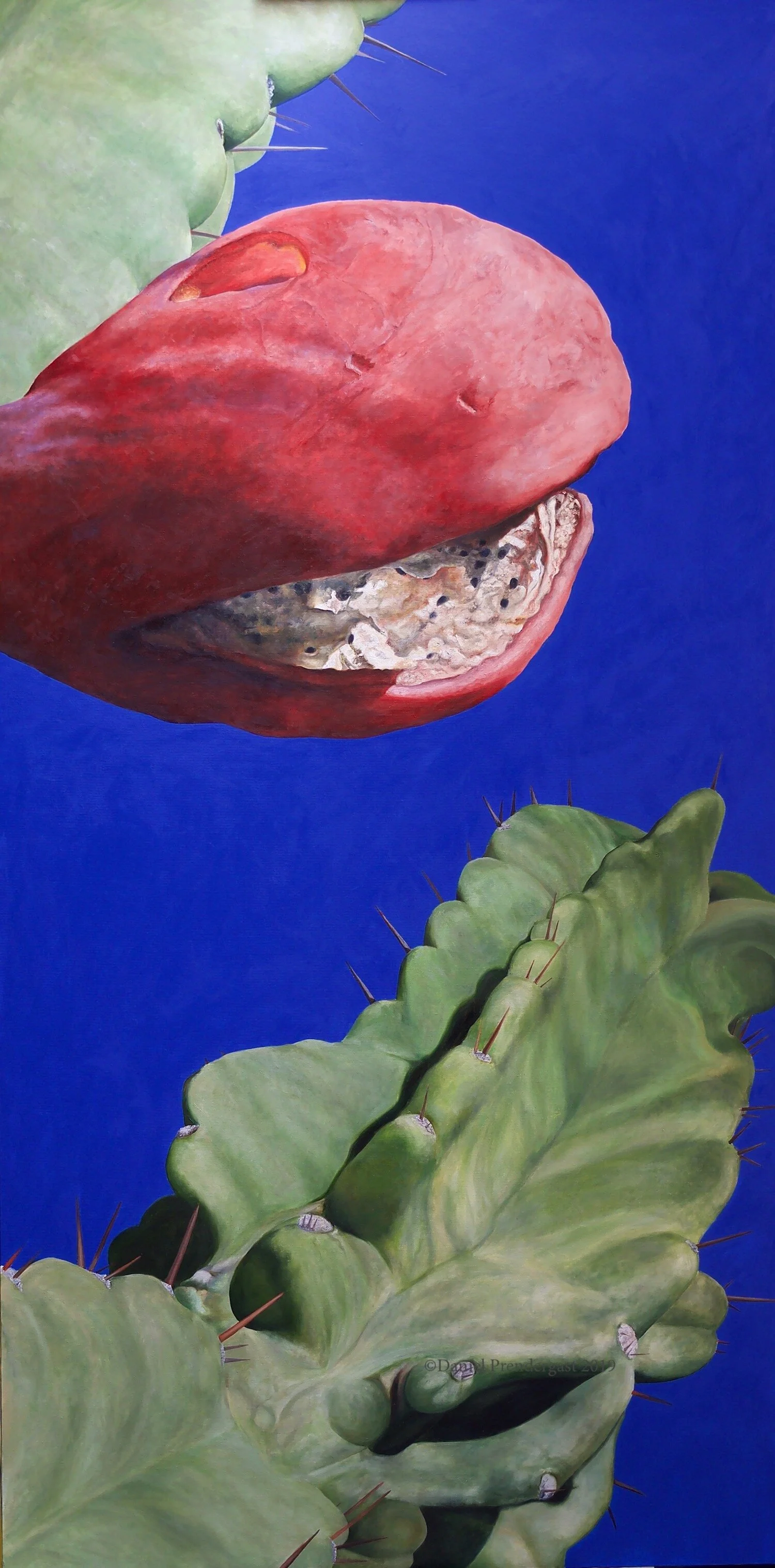 Daniel Prendergast — Five15Arts