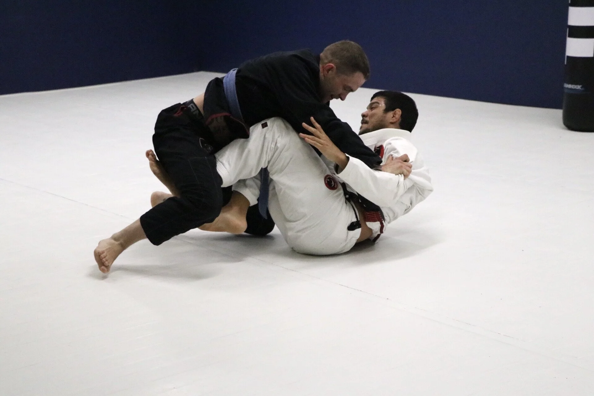 Defendu techniques - aussiebopqe