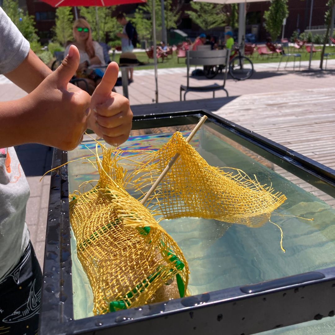 LEAP Lab: Floating Wetlands — MIT Open Space Programming