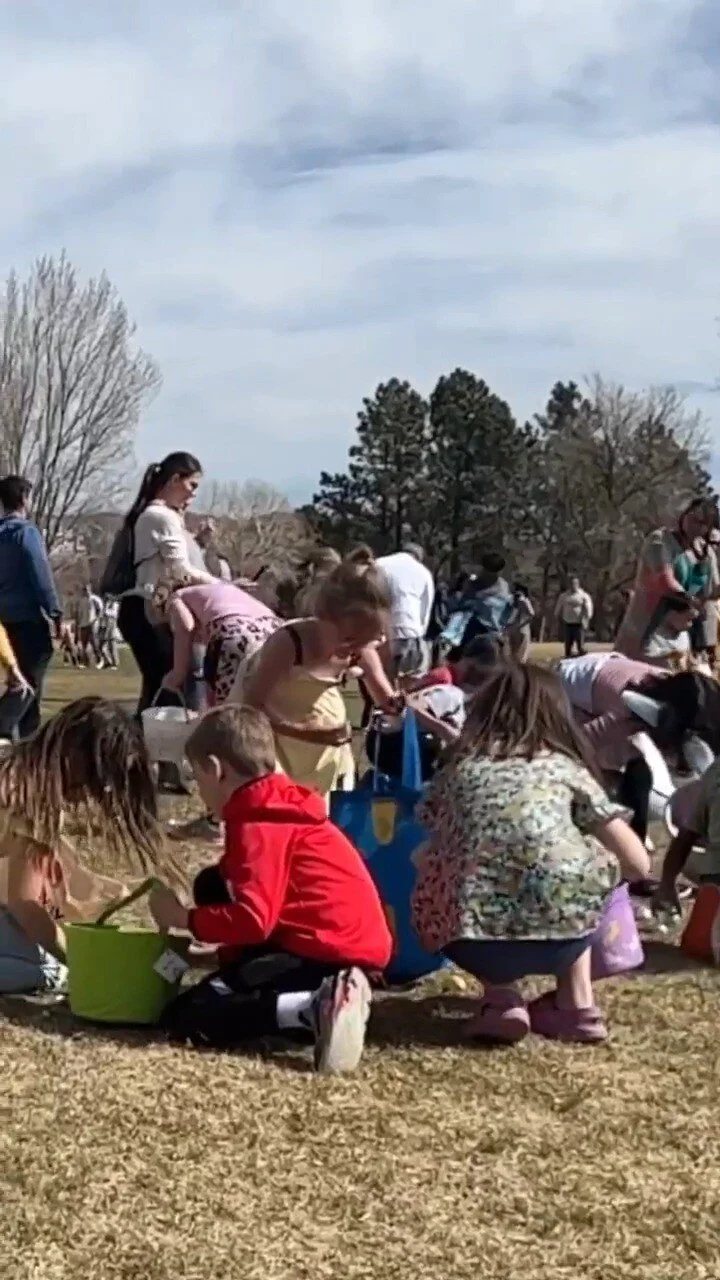 PixVid - | Real Estate Photography & Videos | Drone Photos & Video | 3D ...