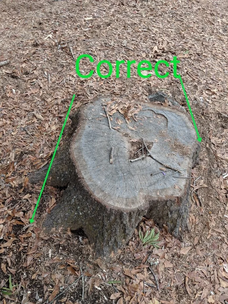 DIY Measurements for Estimates — Down to Earth Stump Grinding