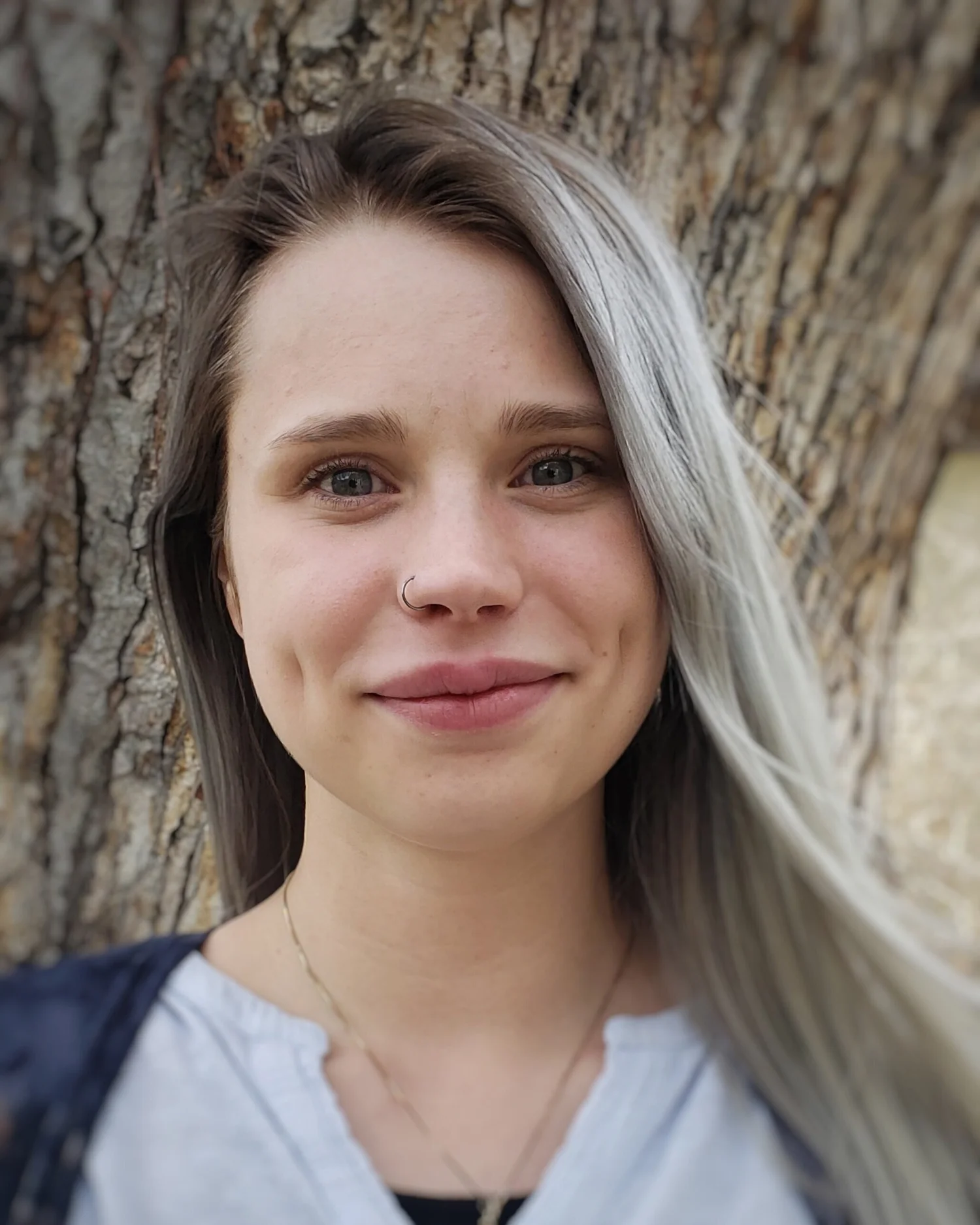 Bears in the Backyard — Greeley Creative District