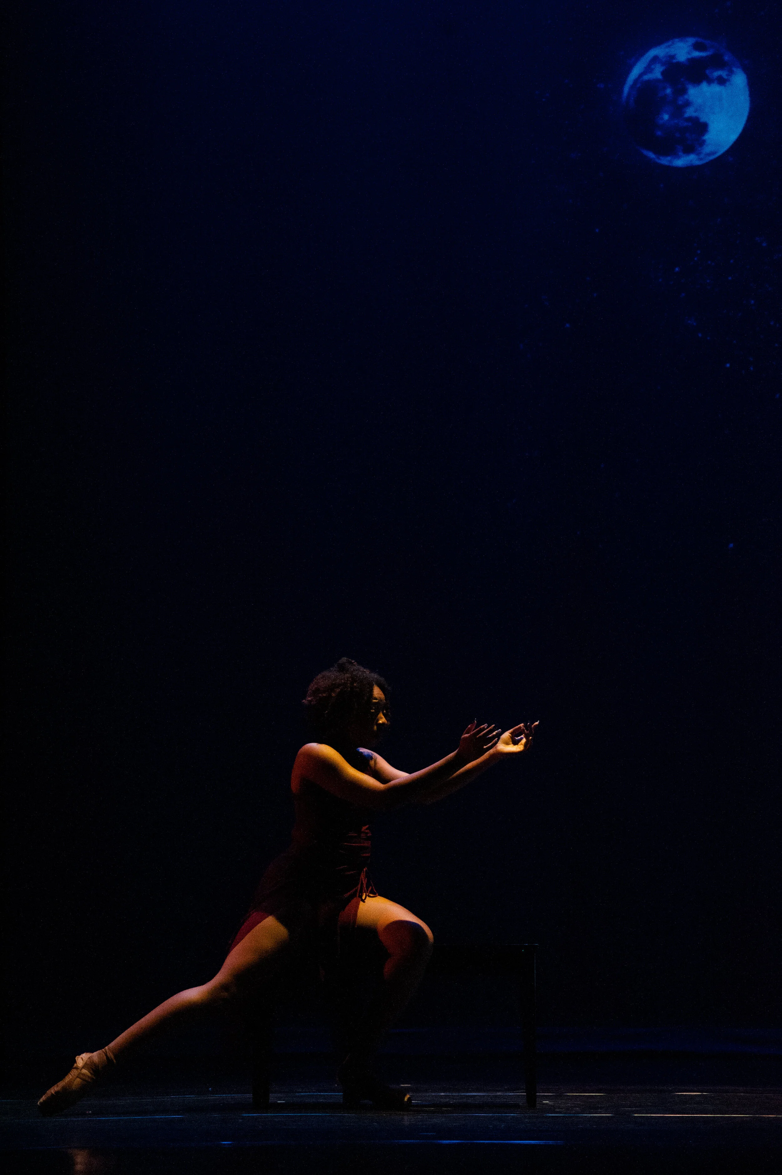 The Companies — CHICAGO BLACK DANCE LEGACY PROJECT