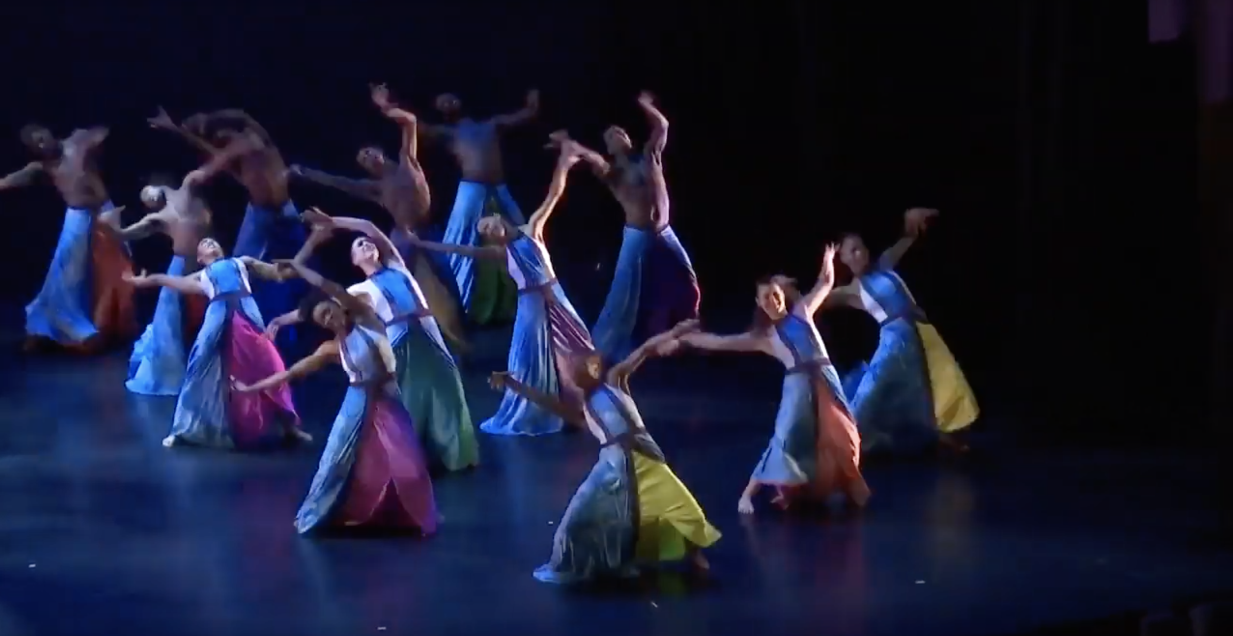 The Companies — CHICAGO BLACK DANCE LEGACY PROJECT