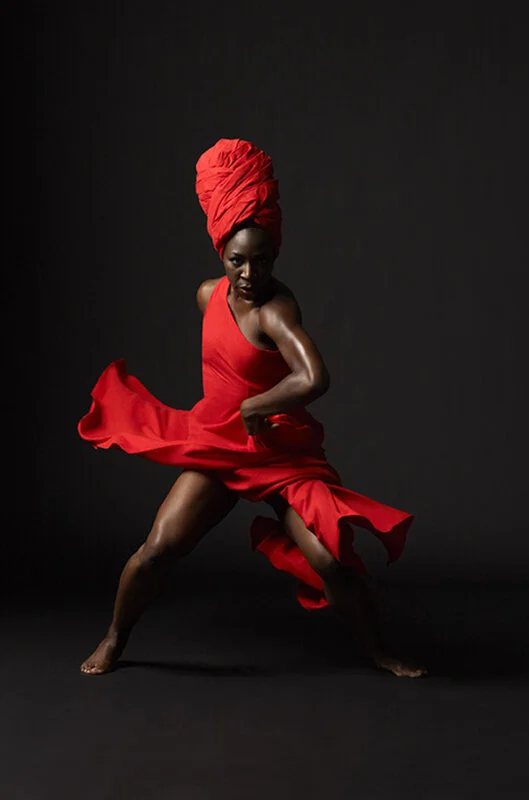 The Companies — CHICAGO BLACK DANCE LEGACY PROJECT