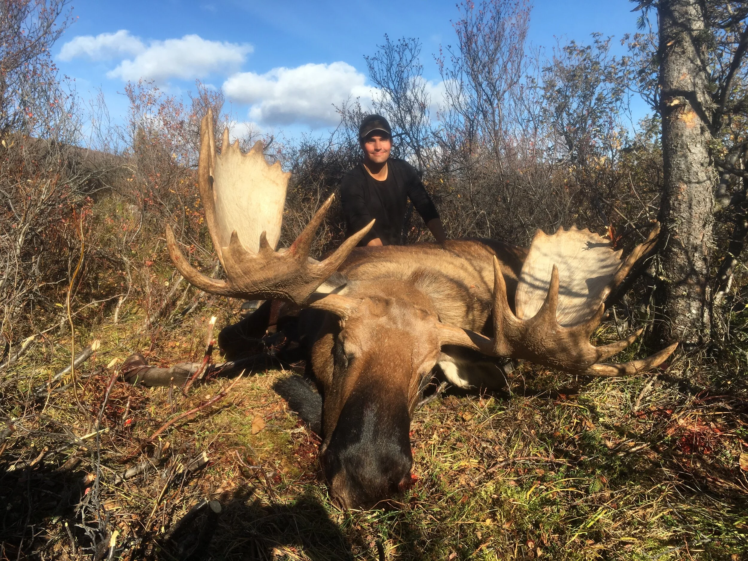 Bushwhack Alaska Guiding and Outfitting