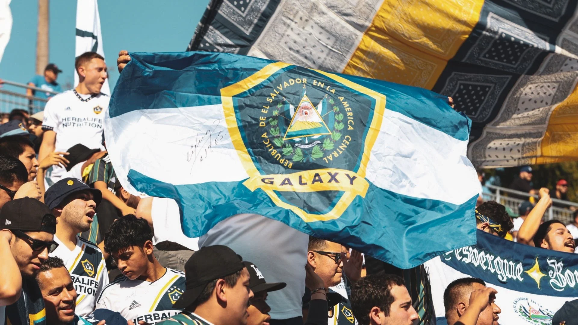 Salvi G'z Flag — A.F.J.A.