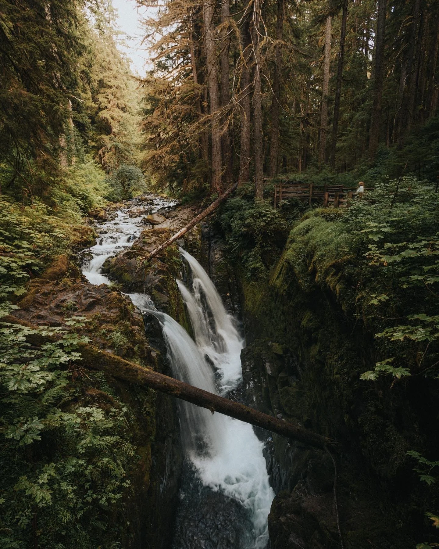 Asheville Wedding Photographer | Darrell Cassell