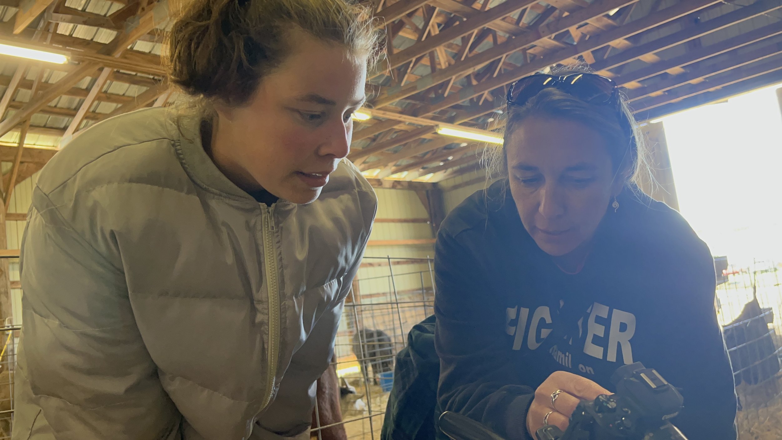 Digital Media — Foster CTE Center