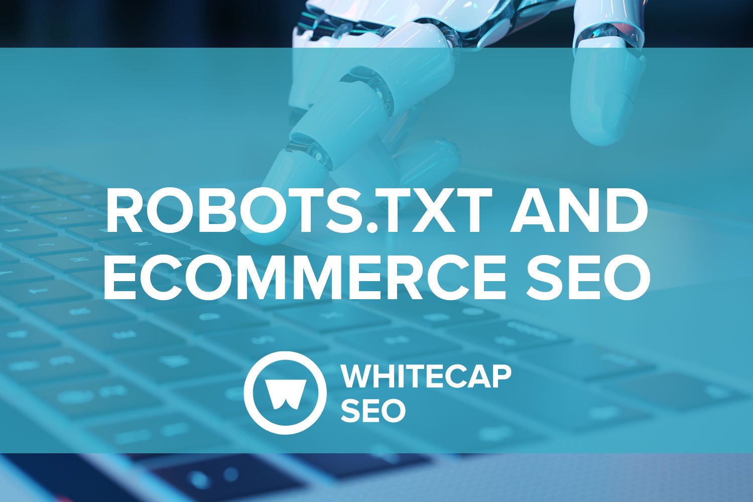 Robots.txt and Ecommerce SEO | Whitecap SEO Robots.txt and Ecommerce SEO | Whitecap SEO