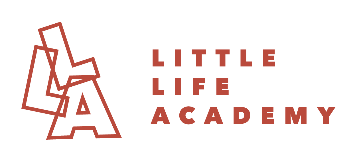 Little Life Academy