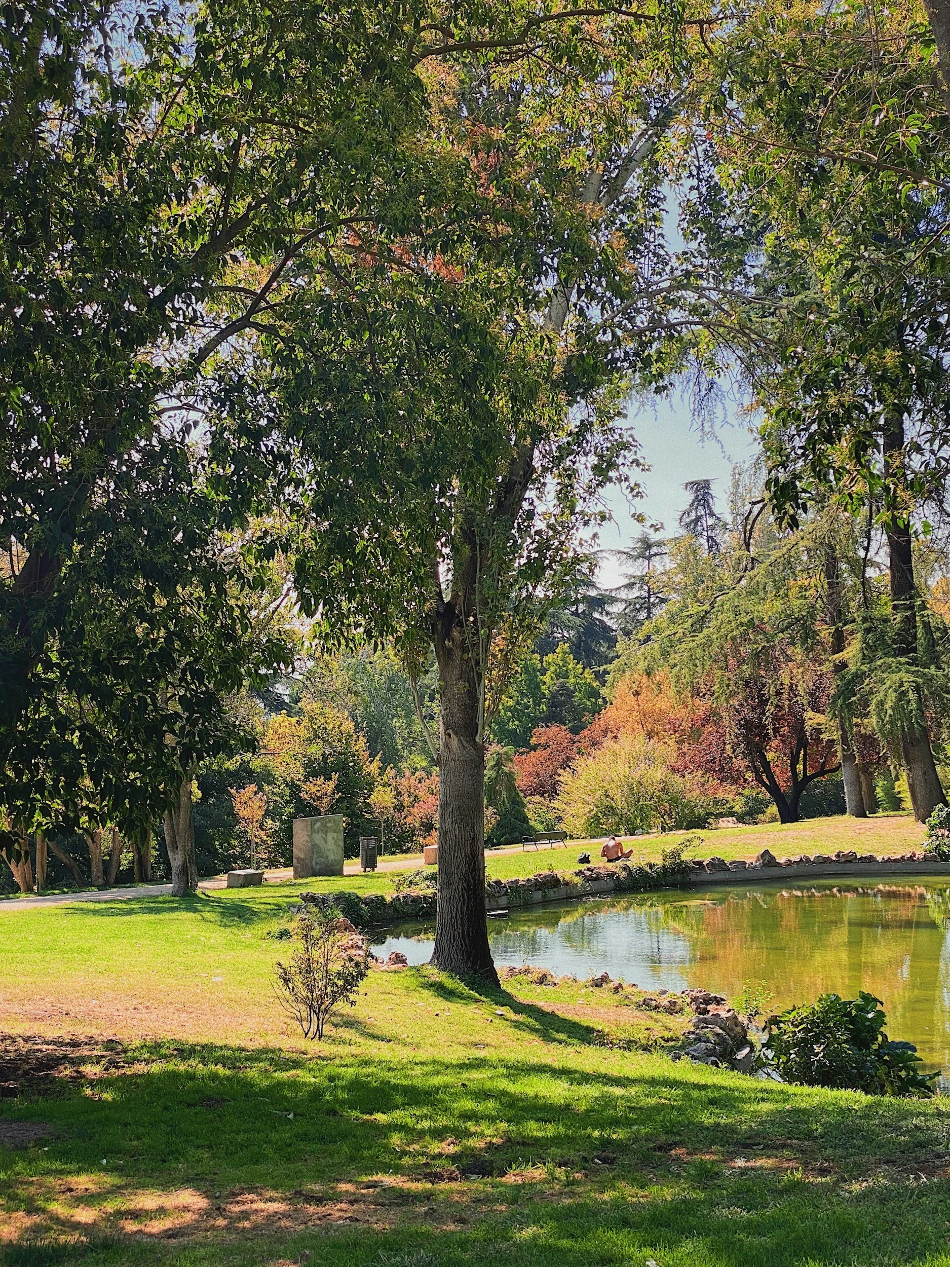 Blog — The Dillaway Diaries