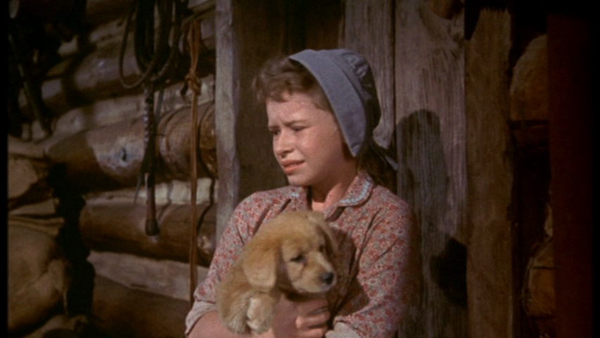 Review: Disney's Old Yeller — Disnerd Movie Challenge