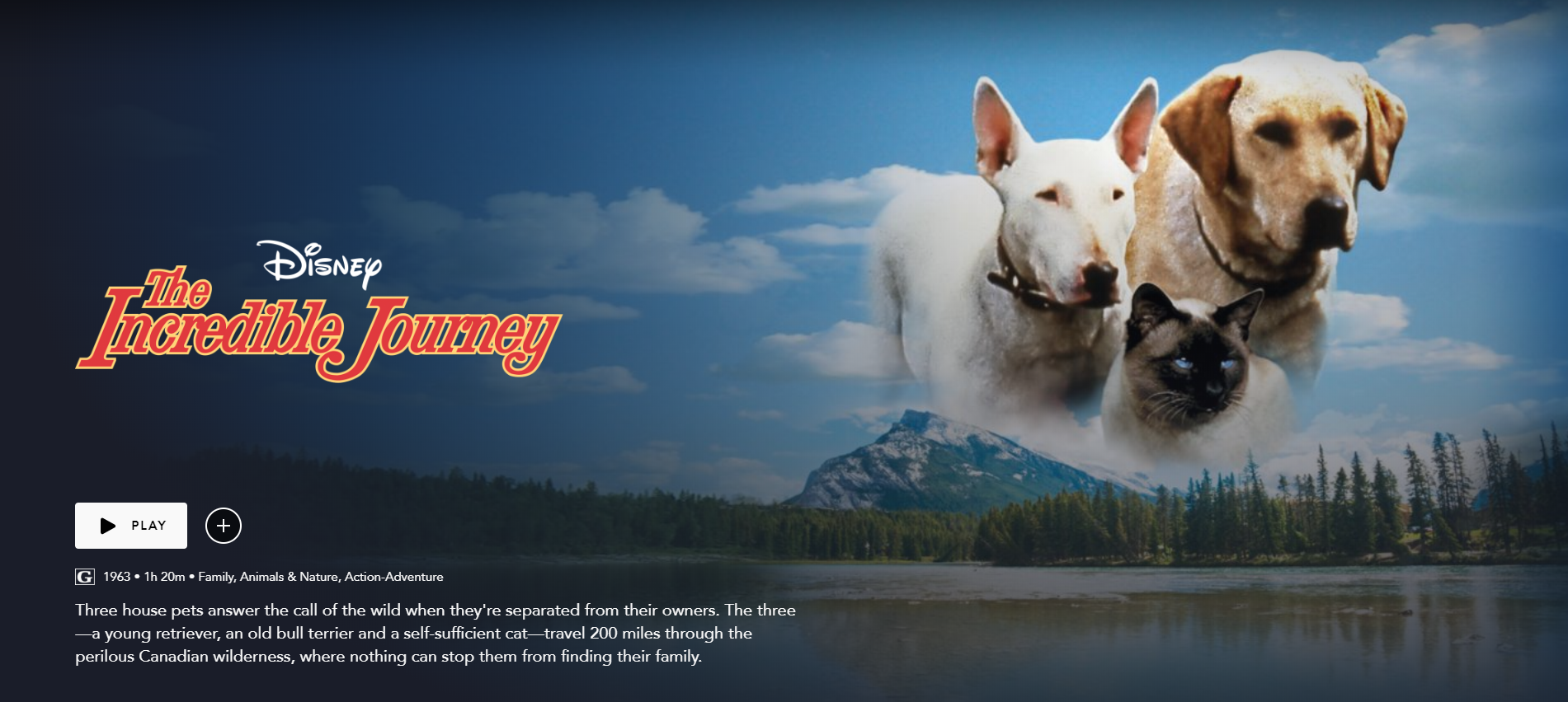 Review: Disney's The Incredible Journey (1963) — Disnerd Movie Challenge