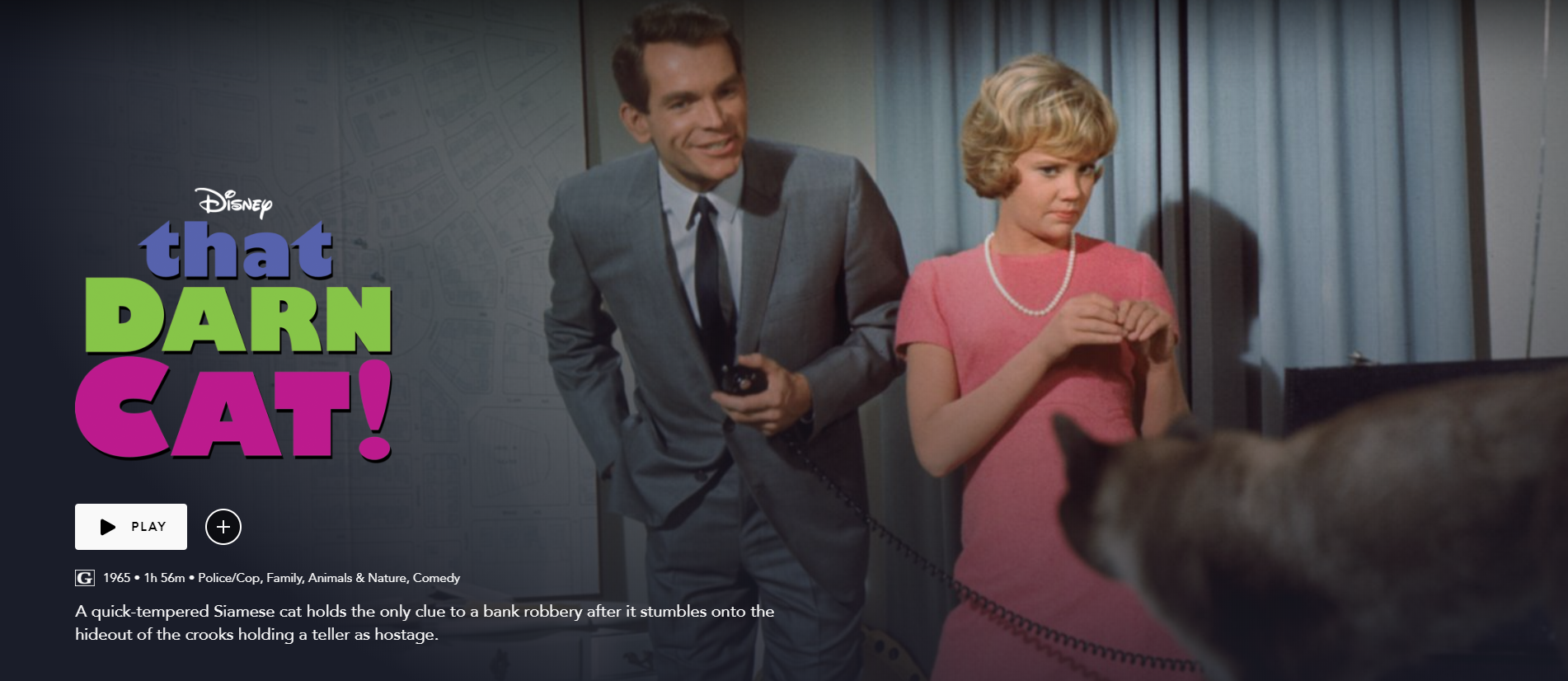 Review: Disney's That Darn Cat (1965) — Disnerd Movie Challenge