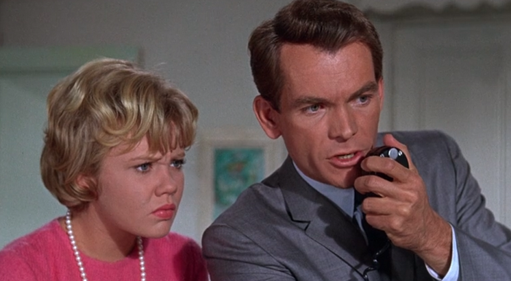 Review: Disney's That Darn Cat (1965) — Disnerd Movie Challenge
