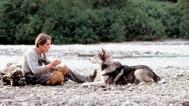 Review: Disney's White Fang (1991) — Disnerd Movie Challenge
