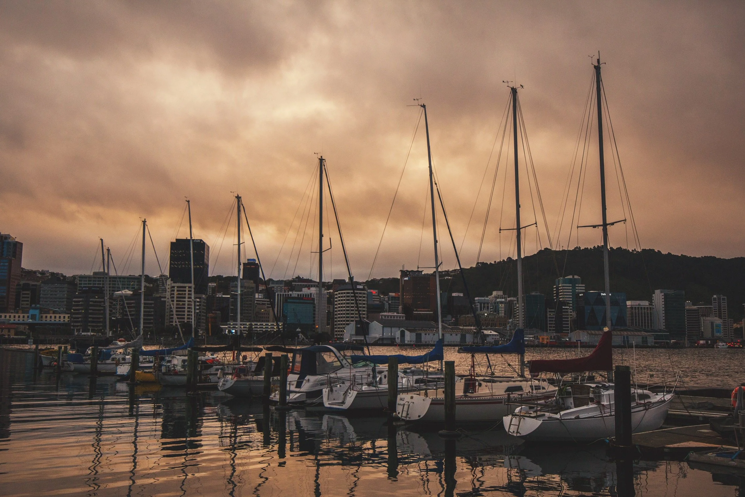 Andrew Adams Photography