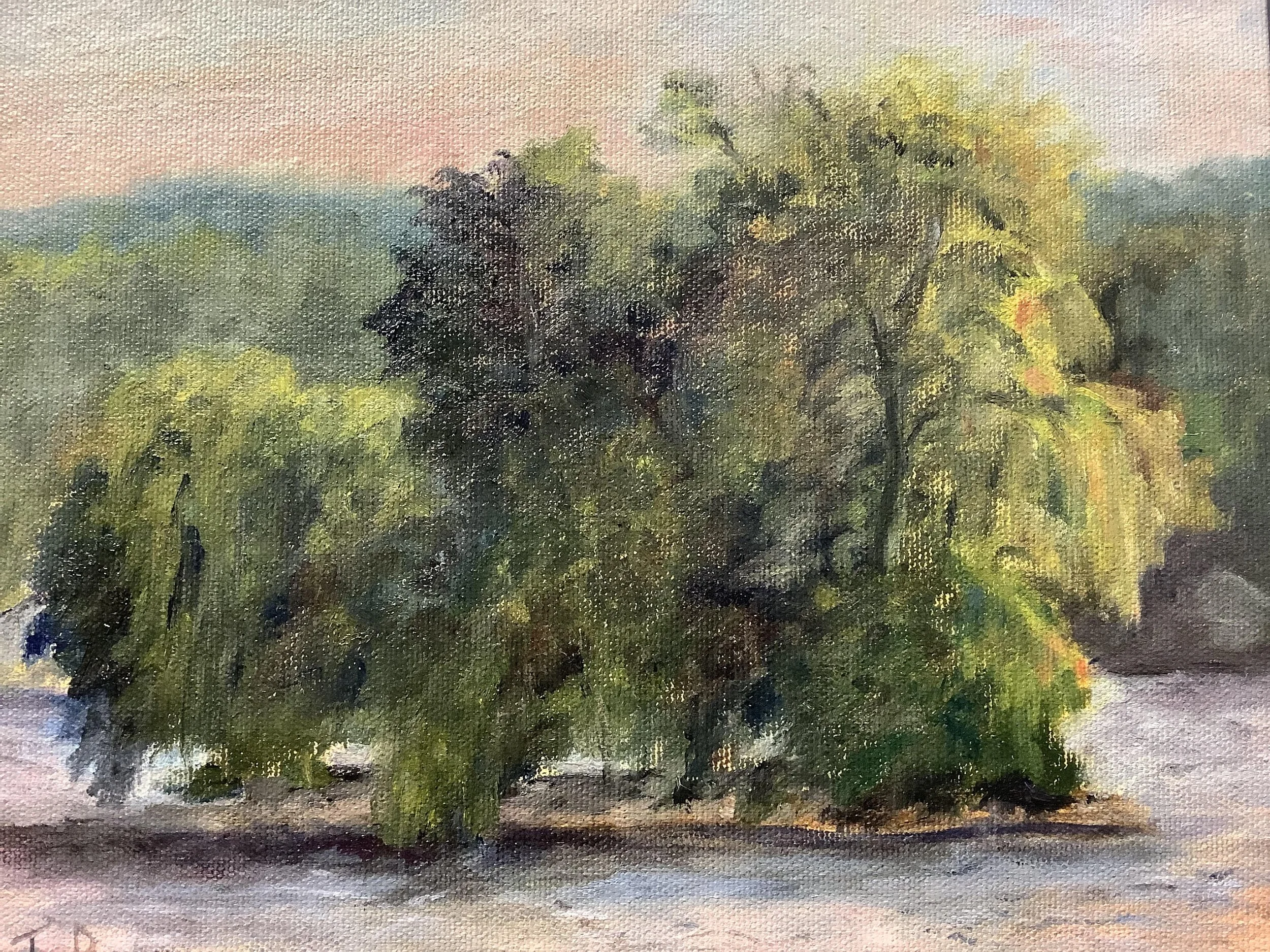 Jan Romeiser — Pat Rini Rohrer Gallery