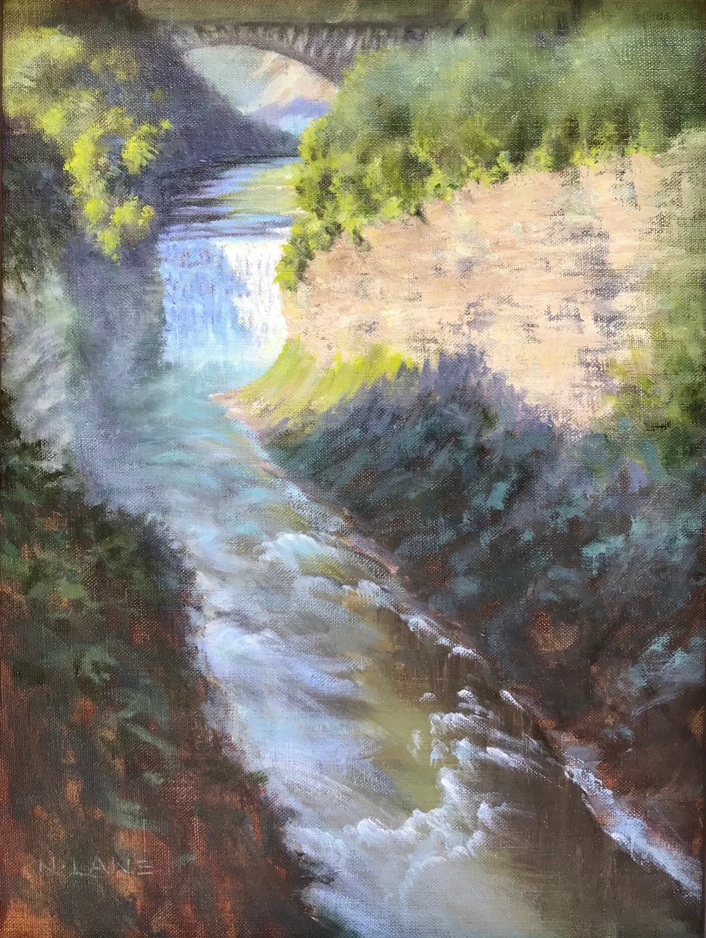 Nancy Lane — Pat Rini Rohrer Gallery