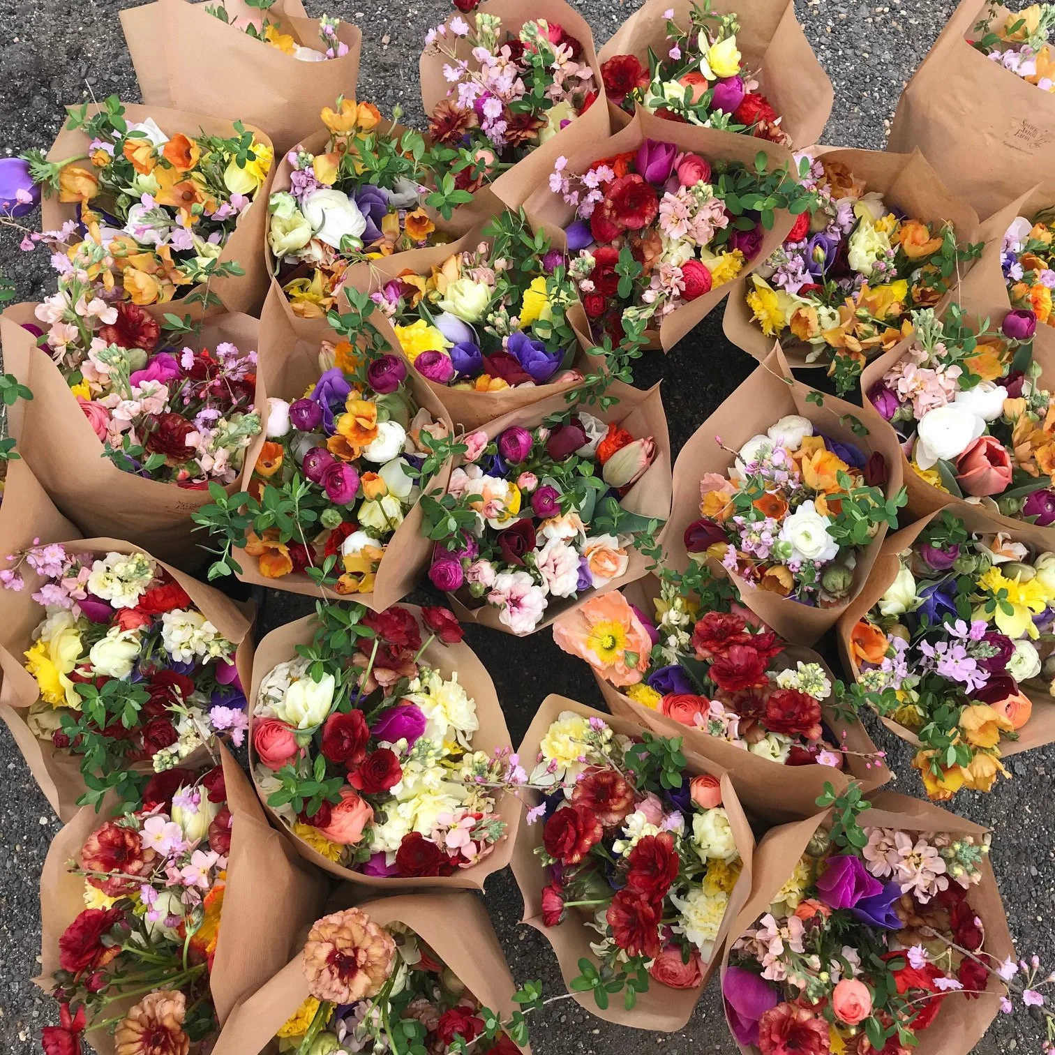 Shop — Spring Wind Farm