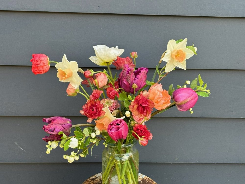 Shop — Spring Wind Farm