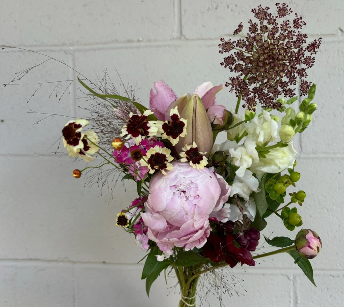 Shop — Spring Wind Farm