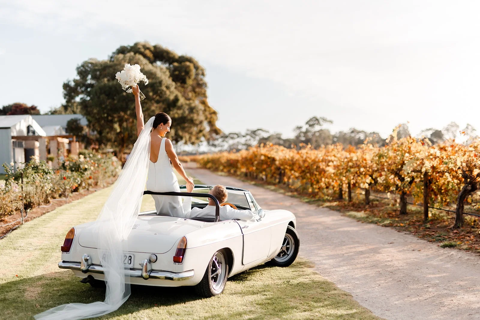 Love Wild Weddings Adelaide Wedding Photographers + Videographers ...
