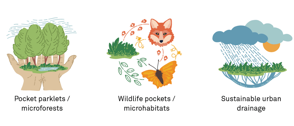 Revealing the toolkit approach to achieve the Low Line Commons vision ...