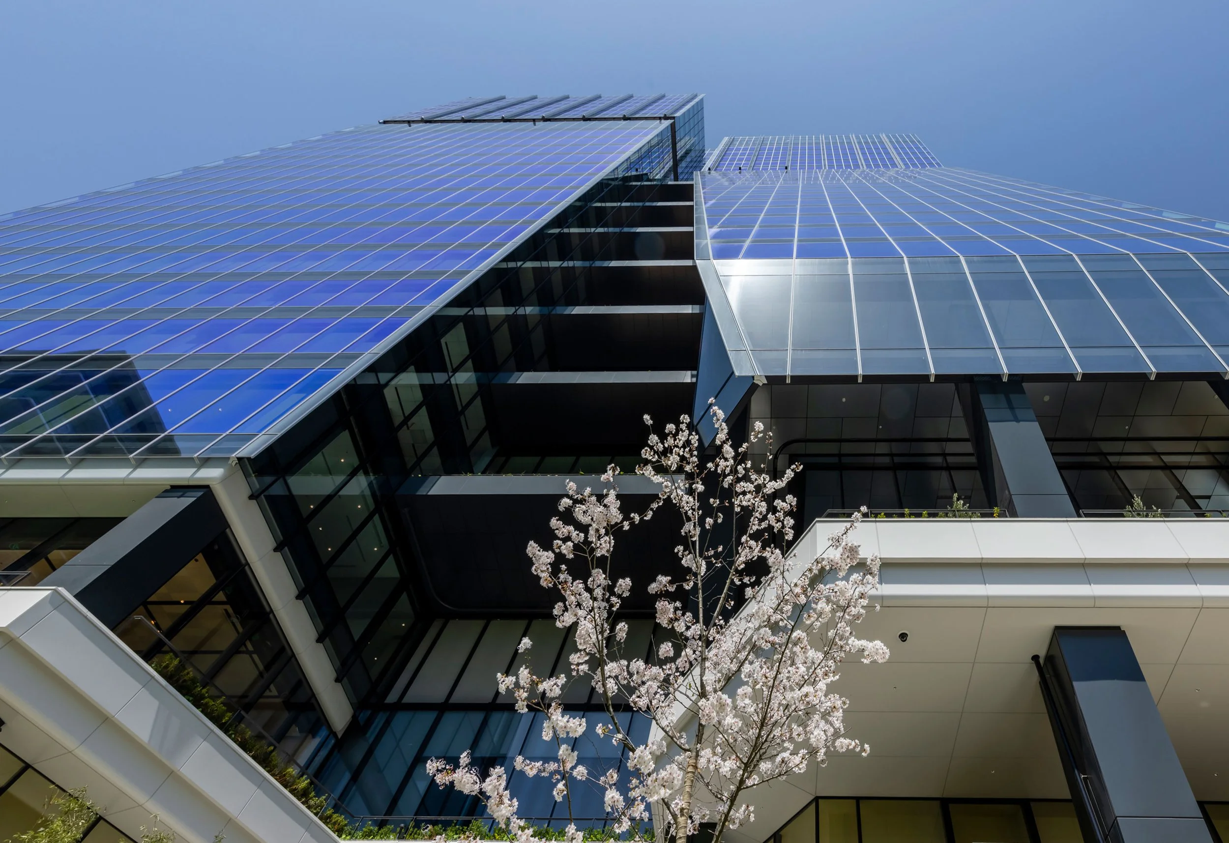 In Pictures: Daimyo Garden Square — Studio PDP