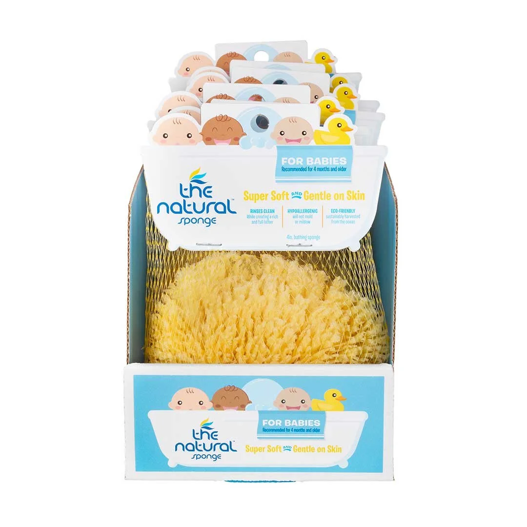 Natural Sponge | Armaly Brands