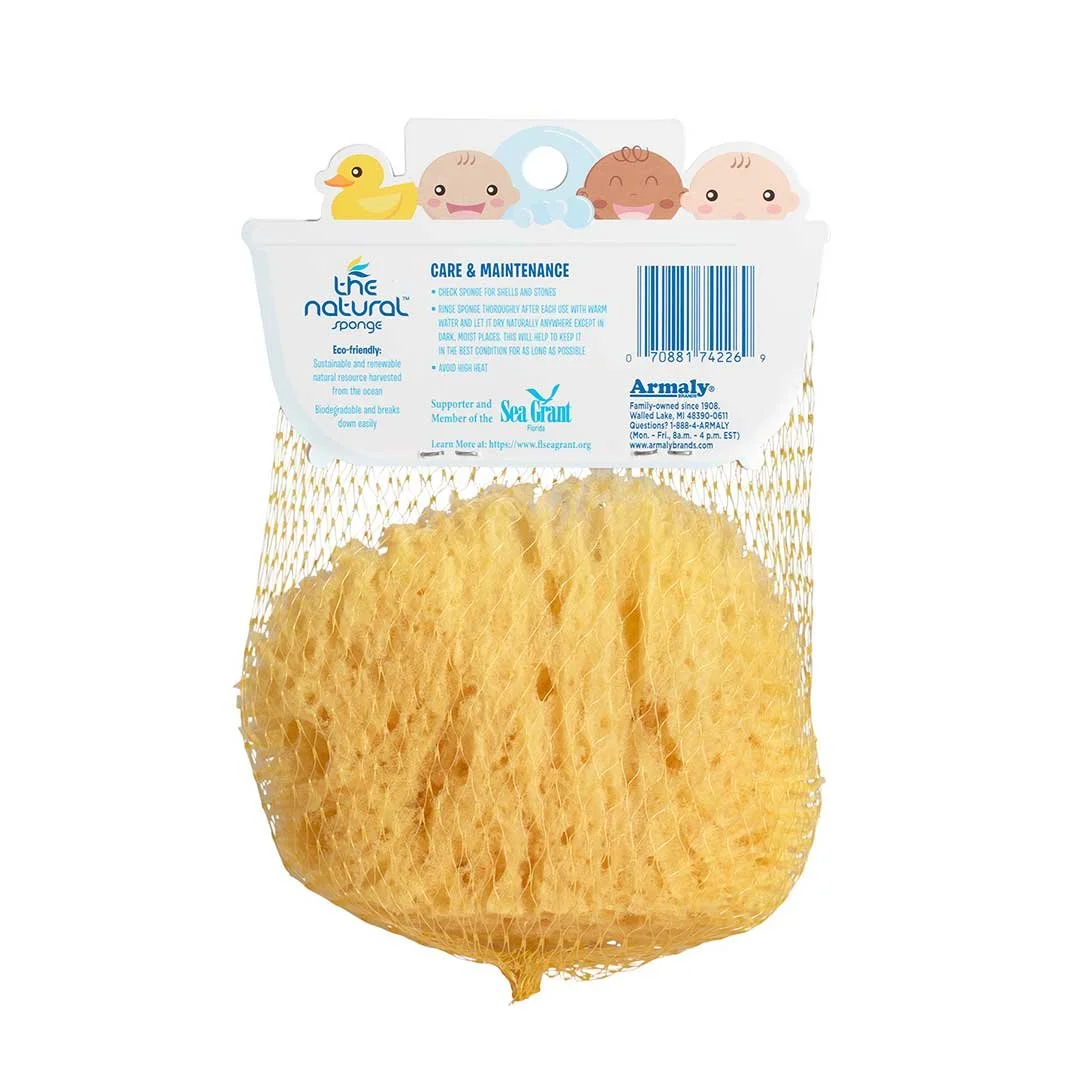 Natural Sponge | Armaly Brands