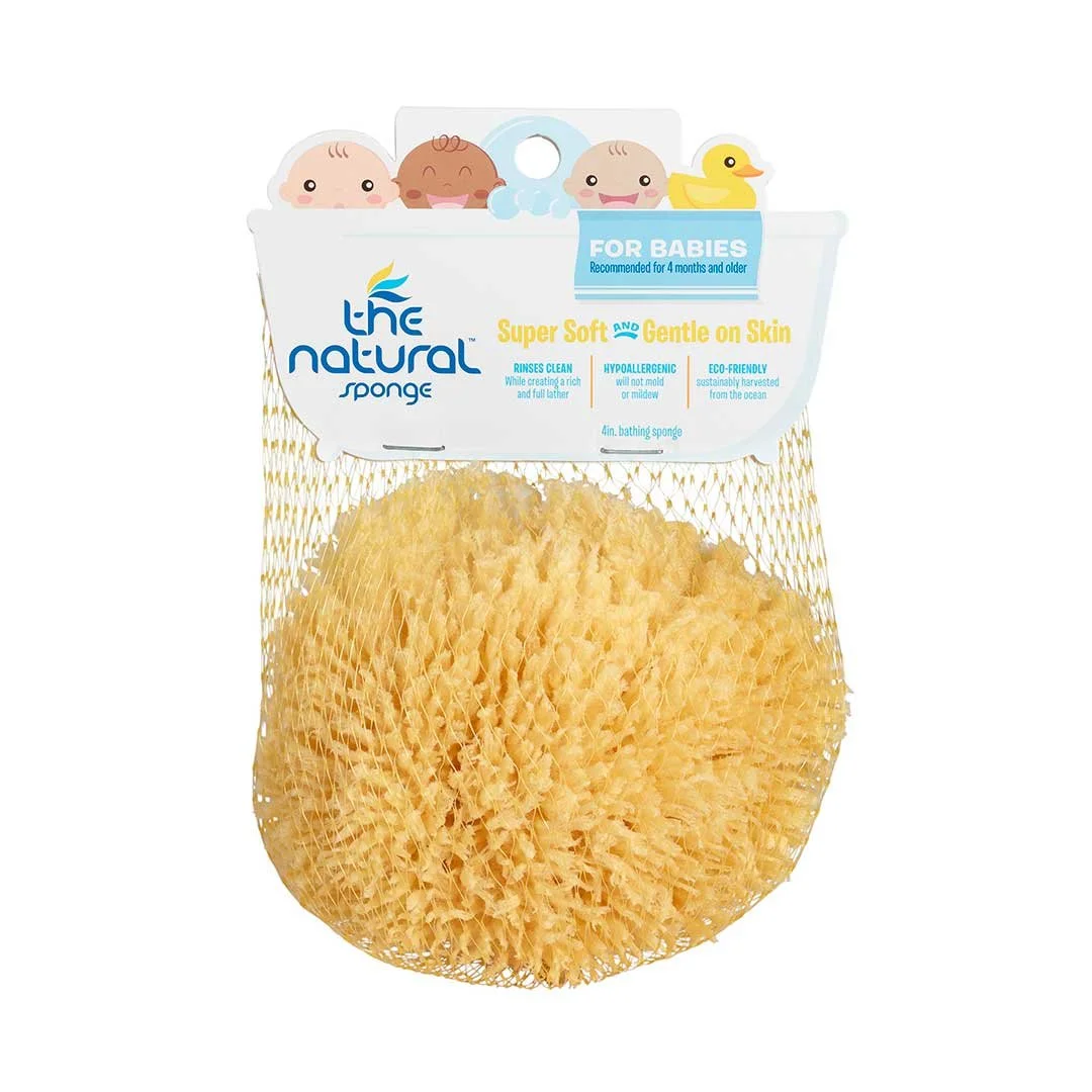Natural Sponge | Armaly Brands