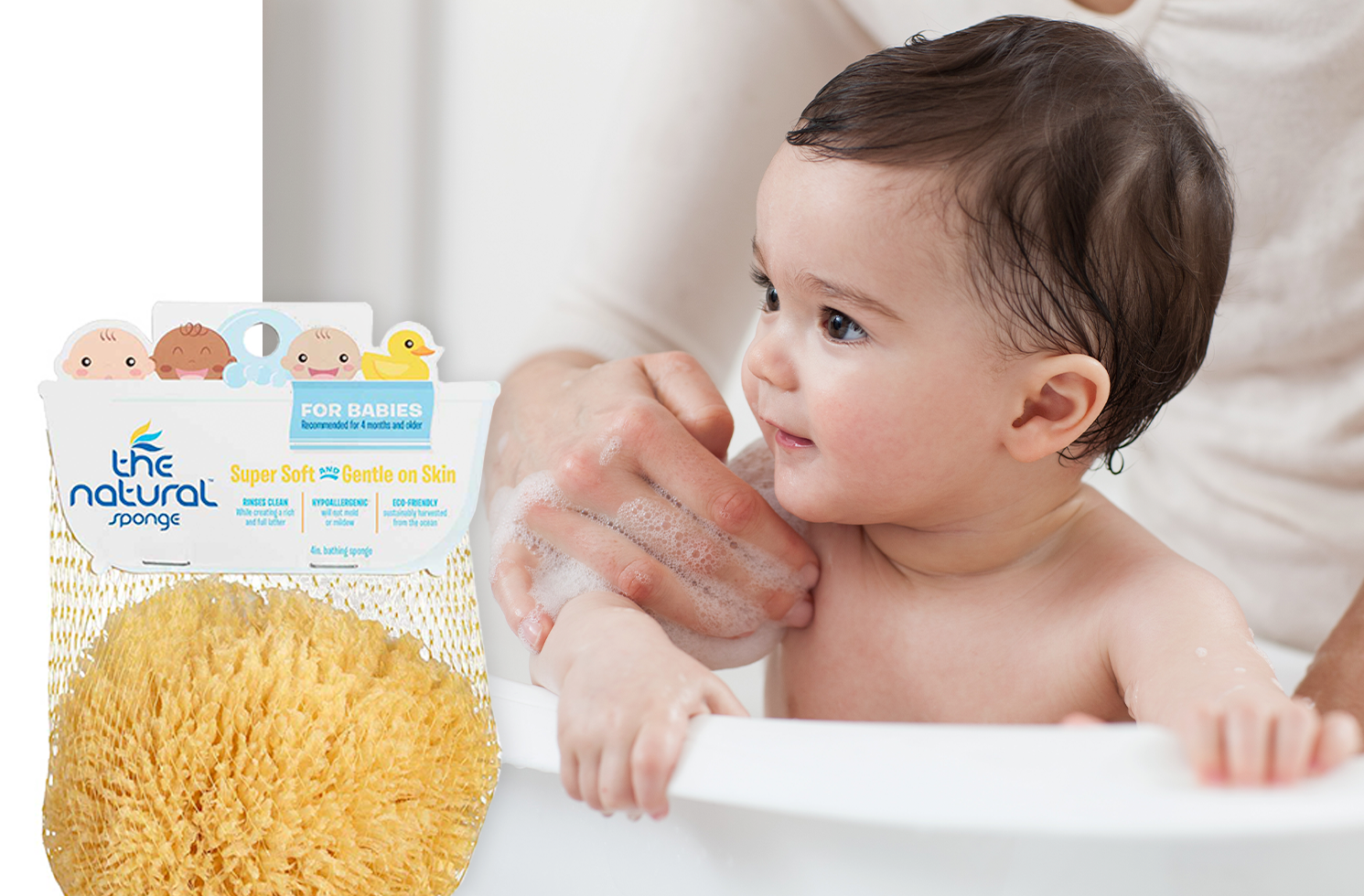 Armaly Brands | Helping America Clean Since 1908