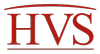VIVID GROUP