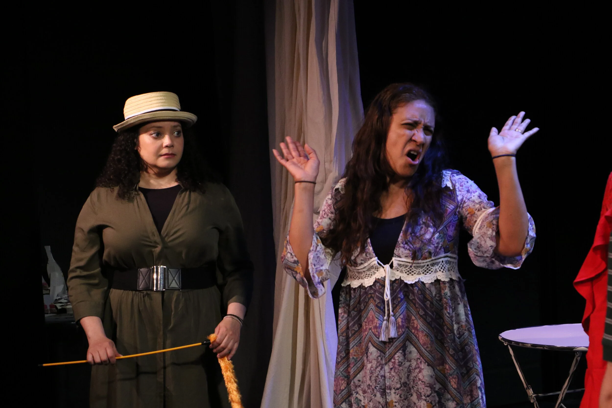 The Pet Play — Dramatic Question Theatre